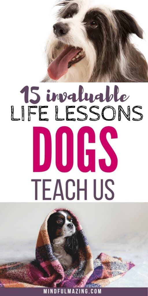The Zen of Dogs: 15 Life Lessons from Dogs • Mindfulmazing.com