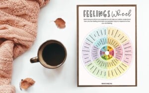 The Feelings Wheel - What It is + How to Use It [PDF] • Mindfulmazing.com